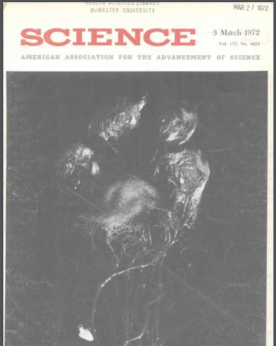 The science, the history and the future of gene therapy. - Rising Tide ...